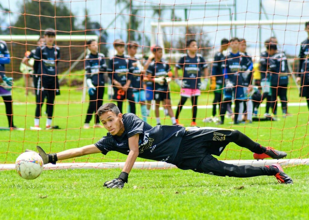 Why Quick Reflexes and Fast Reaction Times Matter - Complete Wellbeing