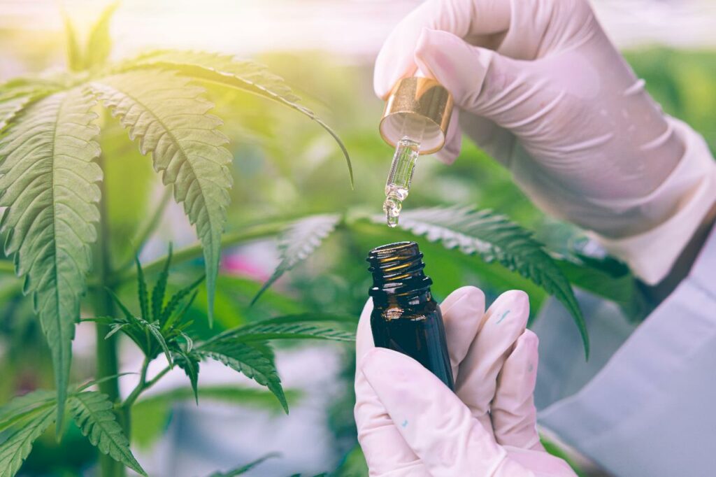 How To Use Cbd For Pain Relief A Beginner S Guide Complete Wellbeing